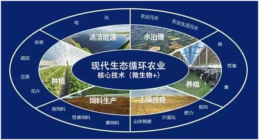 农业生态链是什么意思截图