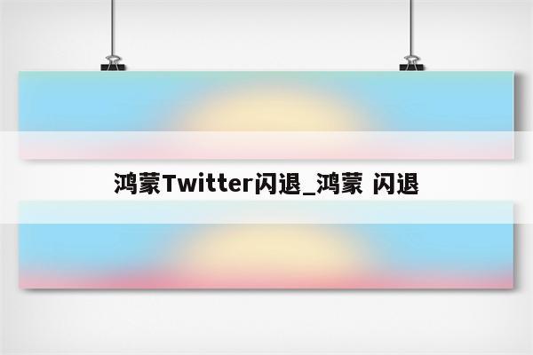 twitter闪退图标