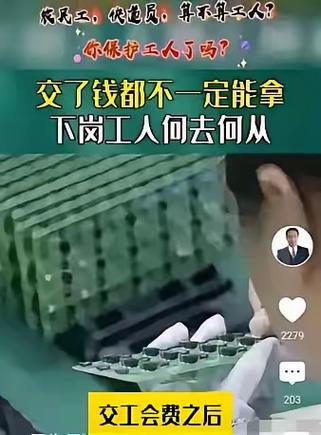 天天兄弟工资多少图标