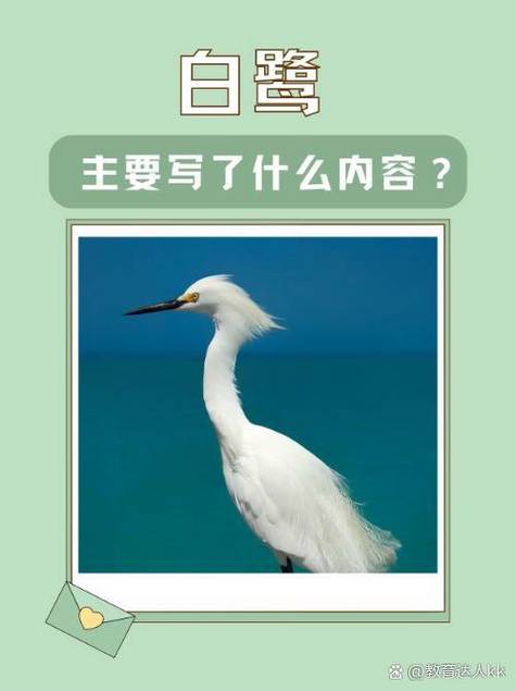 生态是什么意思图标
