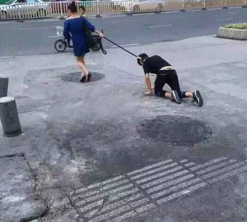 拉着狗链图标