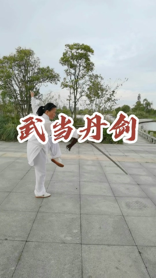 武当剑1—3段教学截图