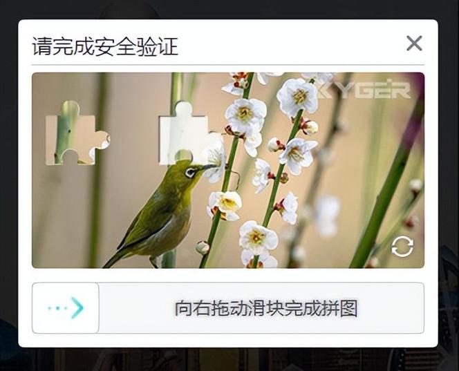 银行一直发验证码是怎么回事图标