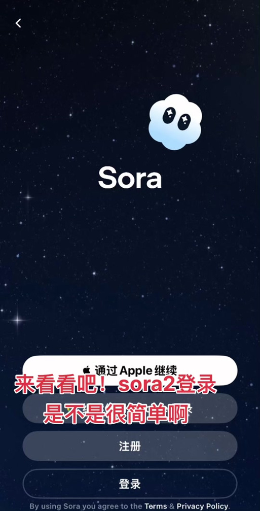 sora官网入口安卓截图