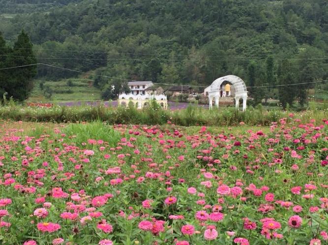 云上花app下载入口图标
