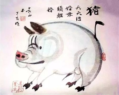 老猪作品全部图标