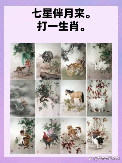 自圆其说指什么生肖图标