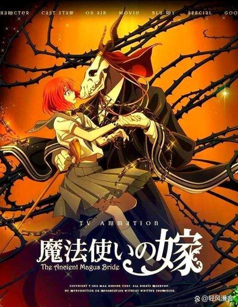 魔法使的新娘云盘图标