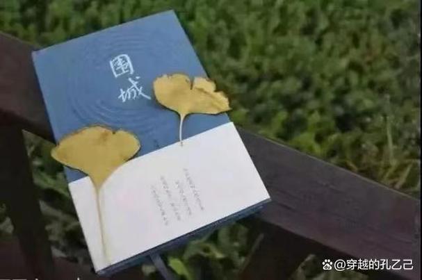 围城告诉我们什么道理图标