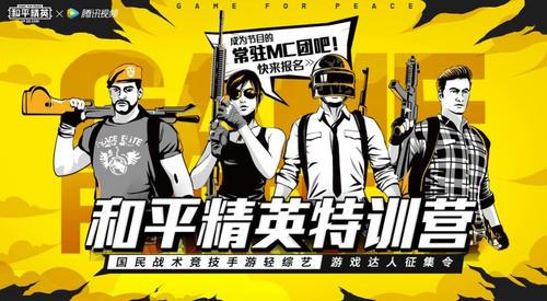 免费和平精英挂免费图标