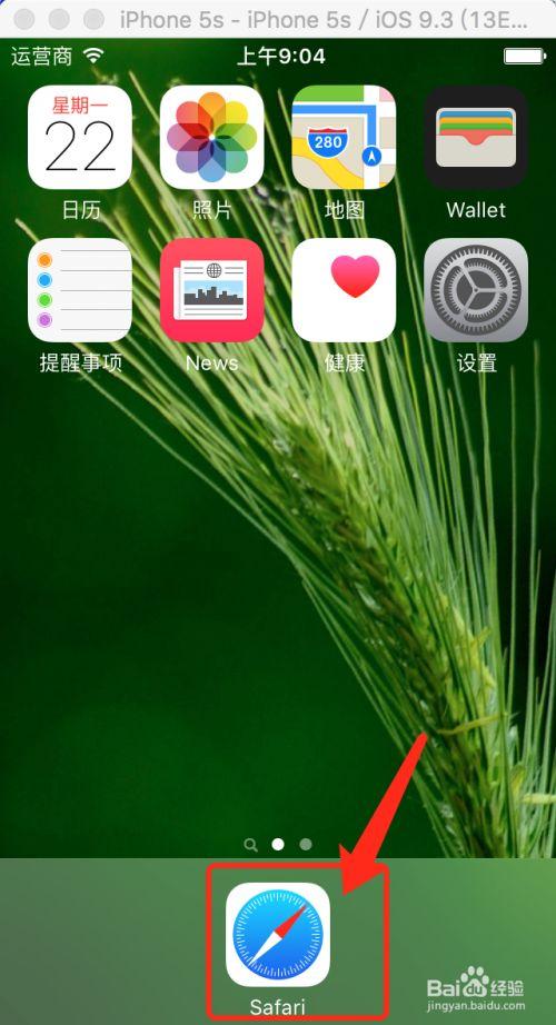 safari网页添加到桌面怎么设置图标图标