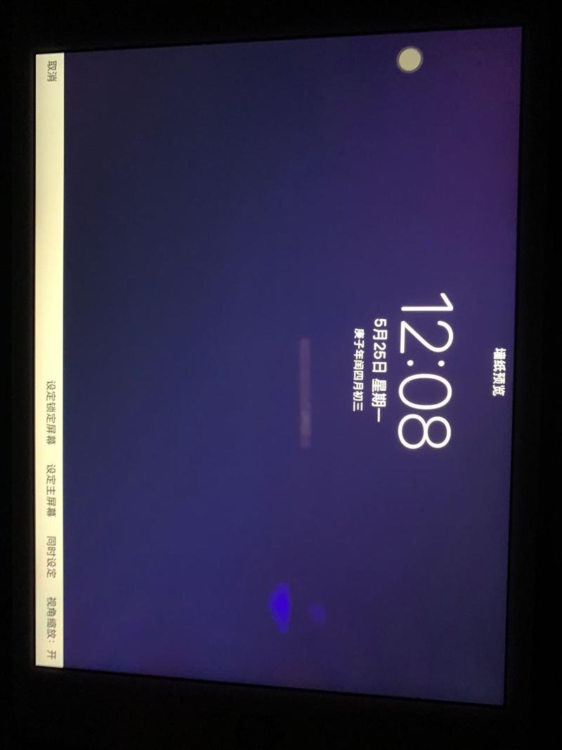 ipad屏幕蓝色斑块截图