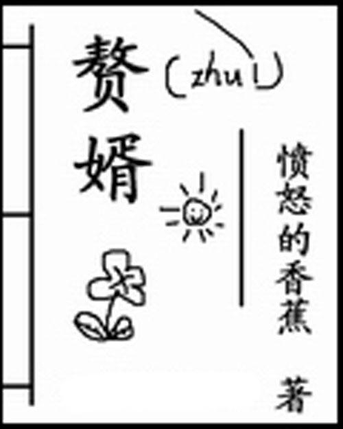 赘婿小说图标