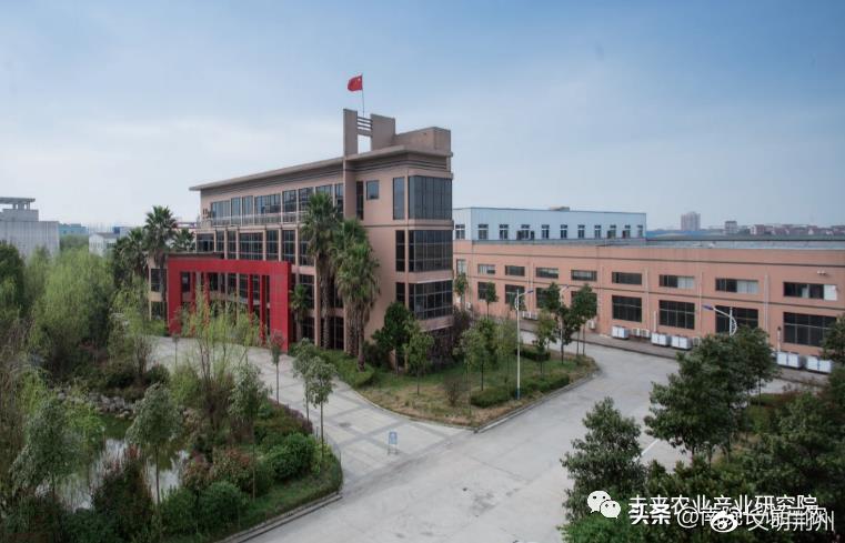 大风车集团总部截图
