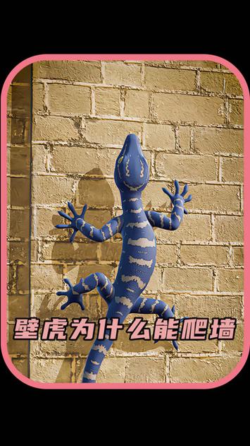 贼王雷师父壁虎爬墙电视剧截图