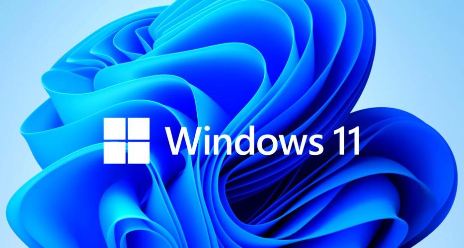 WINDOWS 11截图