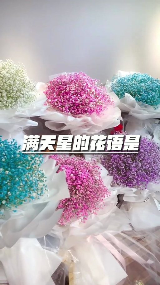 满天星视频图标