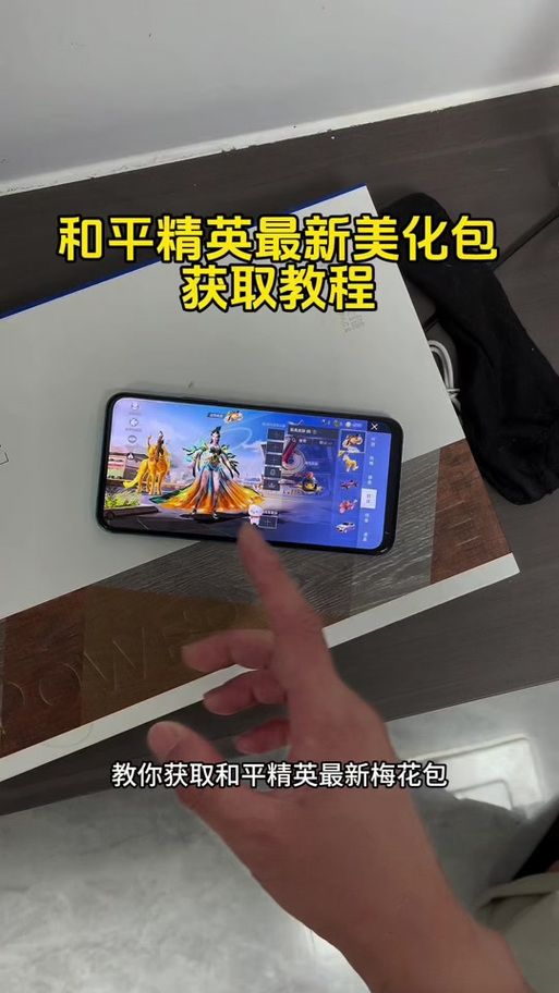 梅花助手美化包图标