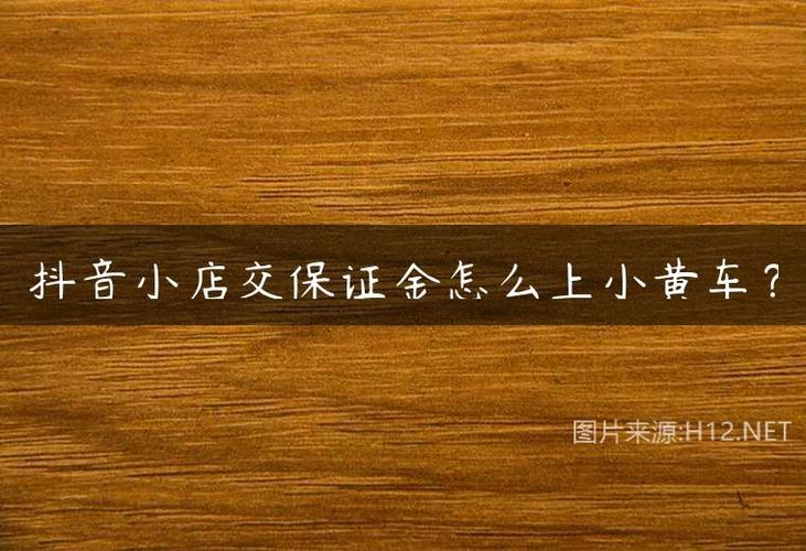 抖音小黄车怎么交保证金的截图