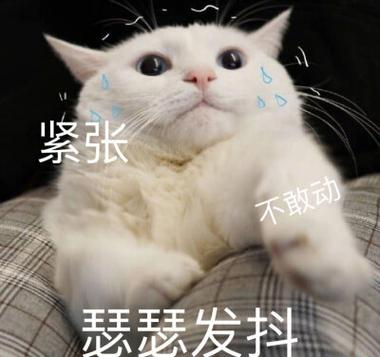 敢不敢动表情包图标