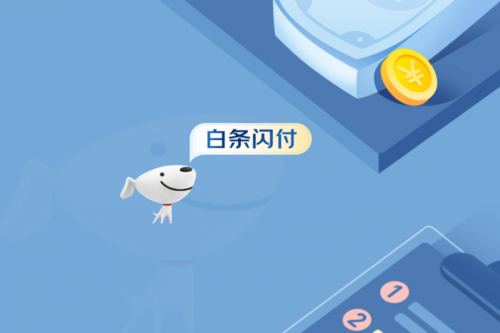 白条闪付是京东闪付吗图标