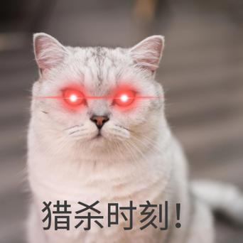 猎杀时刻是什么意思图标