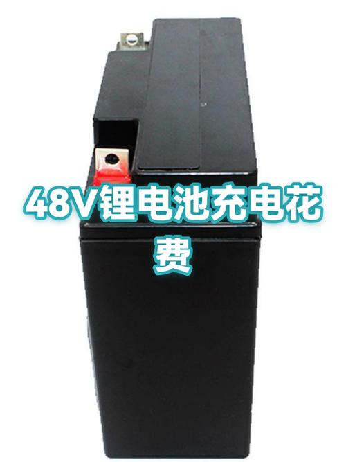 锂电48v20ah多少钱图标