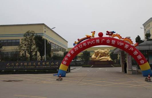 武汉金牛经济发展有限公司图标