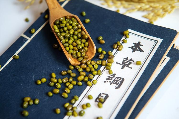 绿豆本草纲目图标