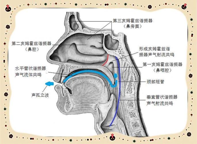 唱歌后咽壁发声点截图
