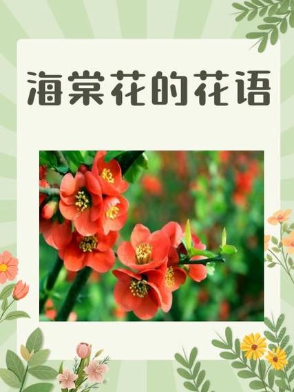 海棠花语图标