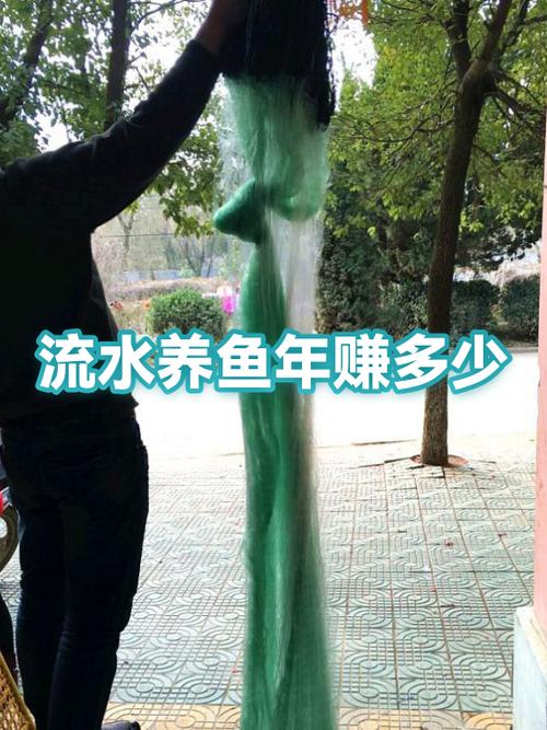 养鱼一年能赚多少钱图标