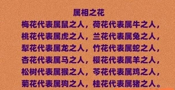 十二生肖花位对照表图标
