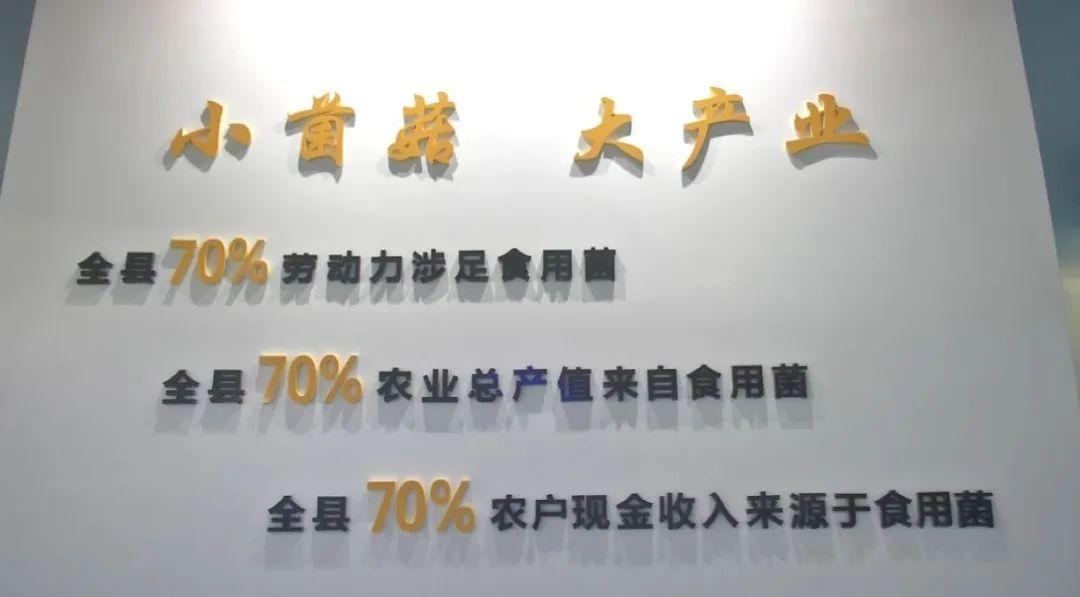 古田人才网图标
