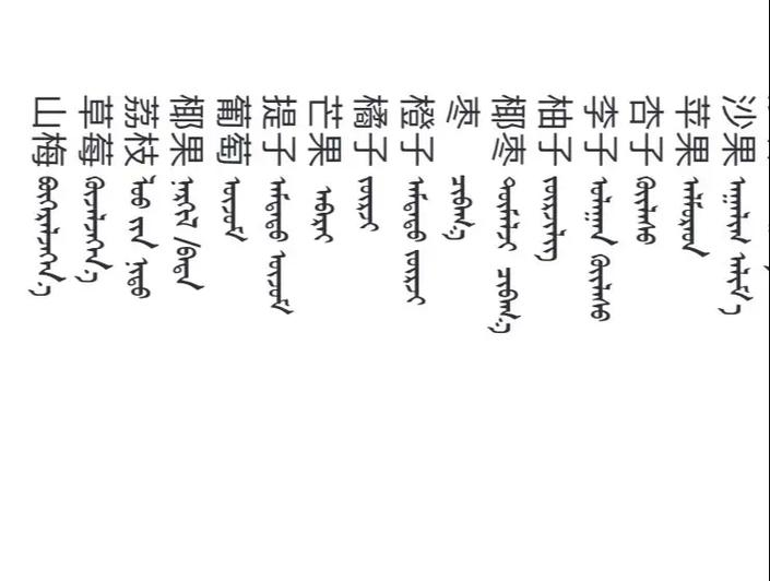 中文→蒙古语图标