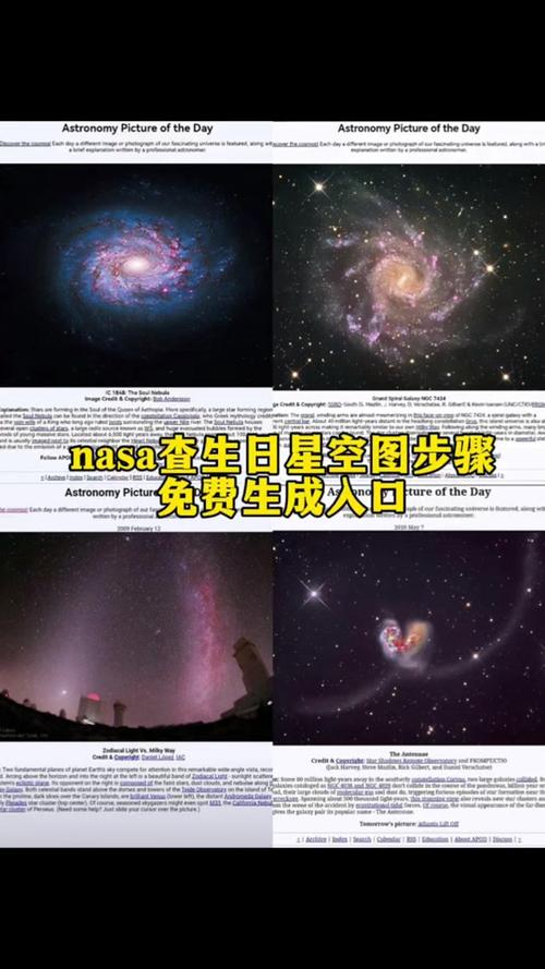 生日查询系统图标