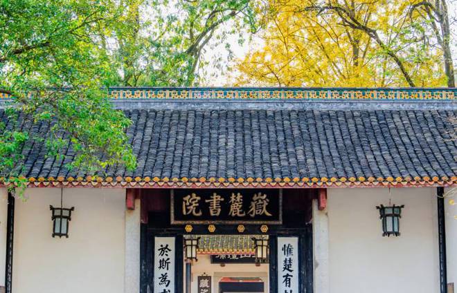 枫林书院截图