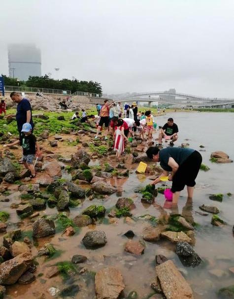 青岛赶海图标
