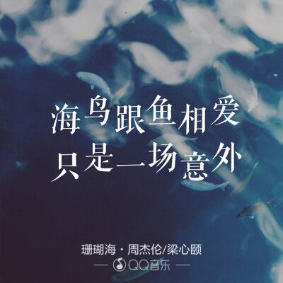 珊瑚海周杰伦图标