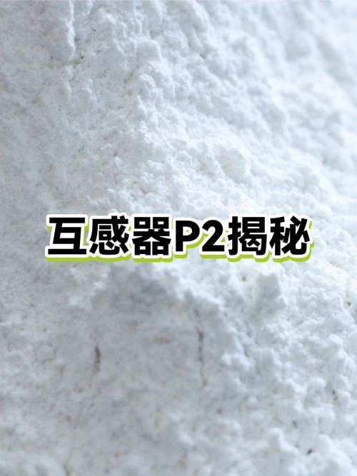 p2是指第二张图片吗图标