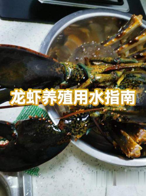 淡水小龙虾养殖方法图标