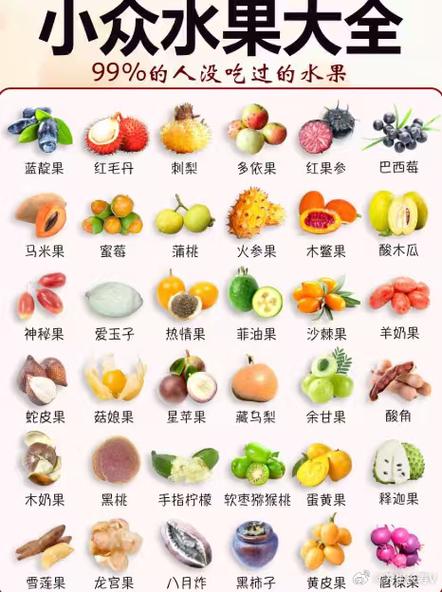 水果品种图片大全大图图标