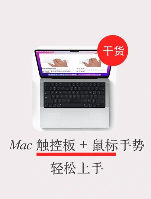 苹果电脑触摸板怎么右键图标