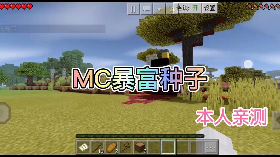 我的世界暴富种子