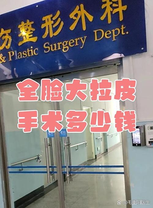 全脸换皮手术多少钱截图