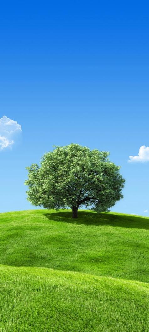 苹果手机壁纸设置不了图标
