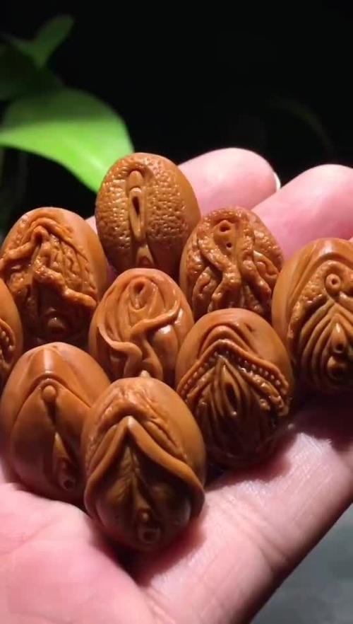 生存种子图标