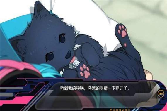 dmmd手机版汉化版下载图标