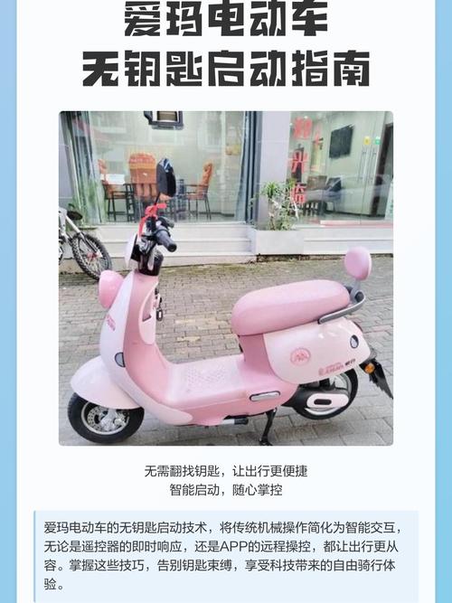 爱玛启动正确步骤图标