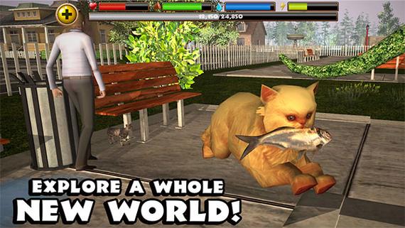 流浪猫模拟器最新版特色截图